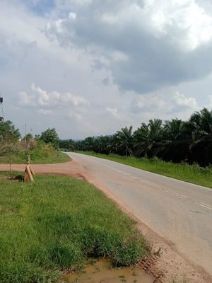 Durian Orchard for sale at Simpang Pertang Negeri Sembilan with Matured ...