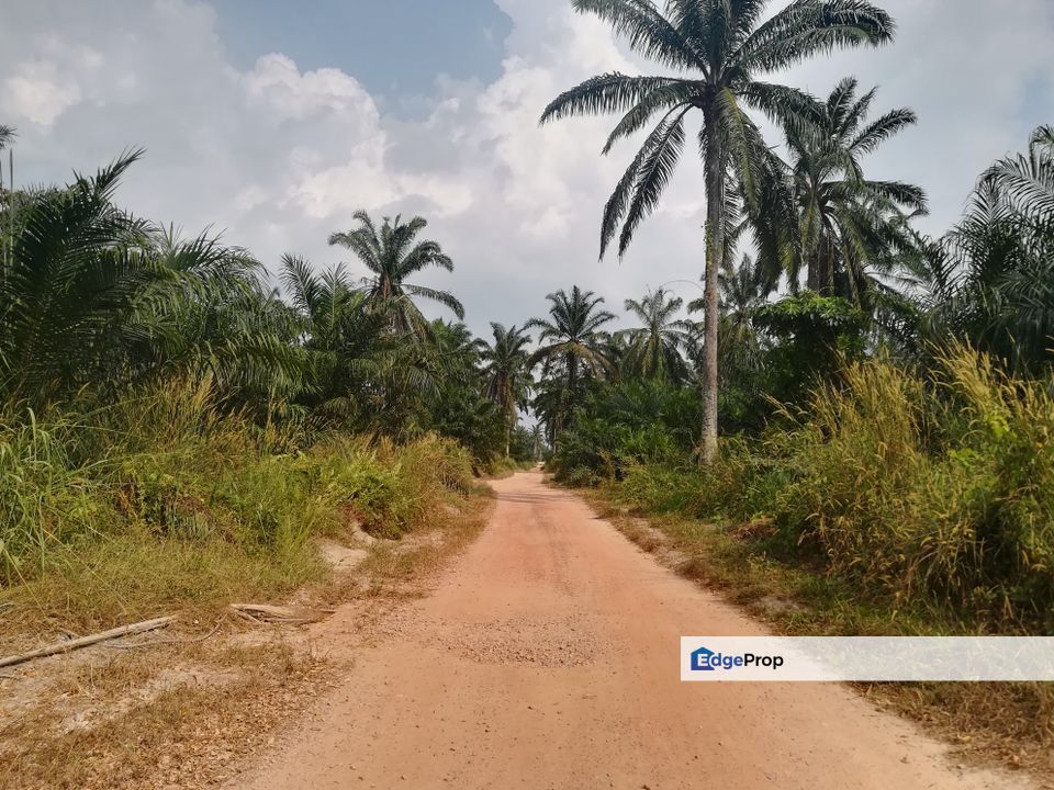 Bakri, Muar, Johor 195 acres Convertible Industrial Land For Sale for ...