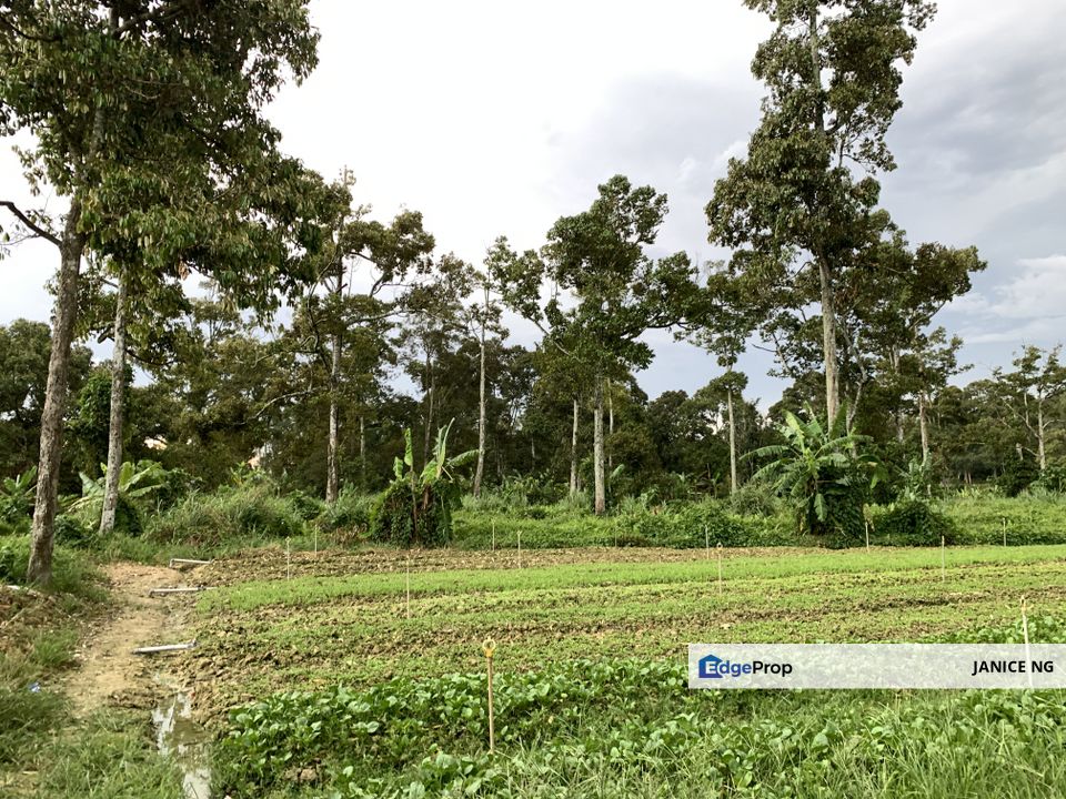 Broga land for sale for Sale Call for price By JANICE NG | EdgeProp.my