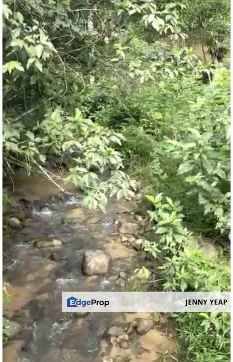 Junjong Main Road Frontage Durian Plantation Sale for Sale @RM4,420,000 ...