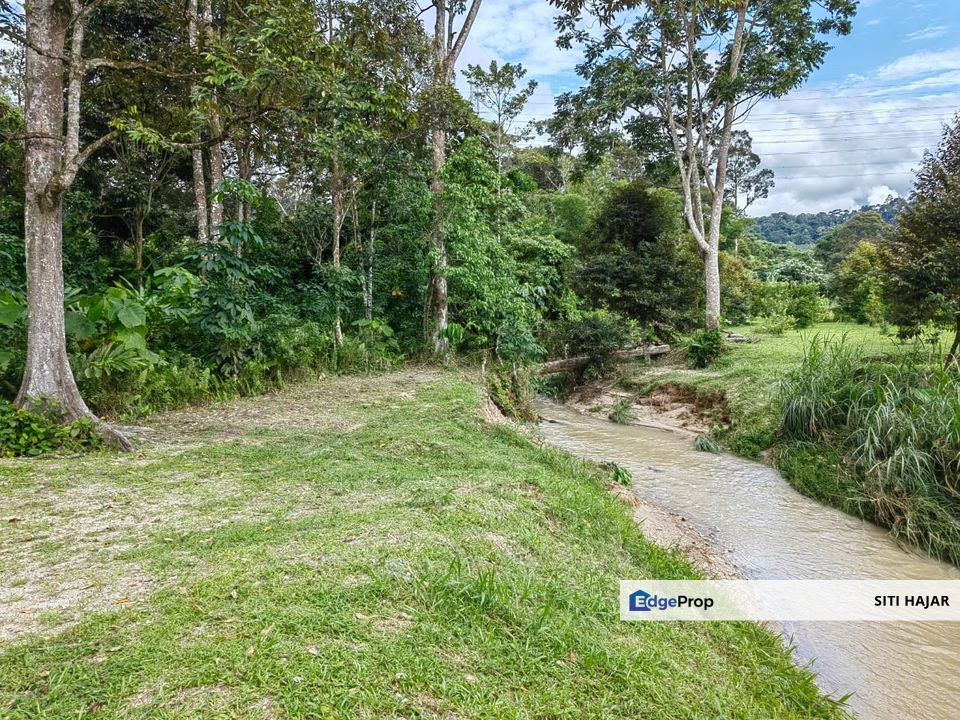 Lenggeng, Seremban, Negeri Sembilan, Agricultural Land with Durian for ...