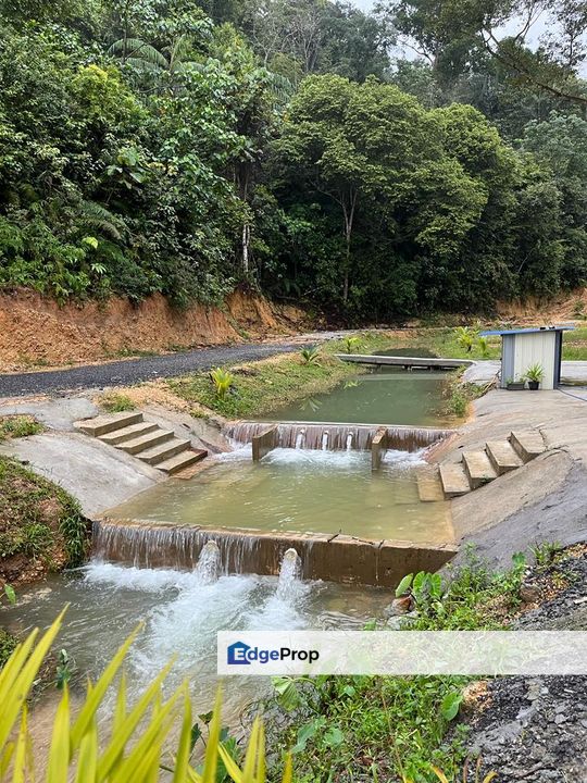 Ada Sungai 7 Acre Durian Orchard Rasa Hulu Selangor Freehold Non Bumi ...