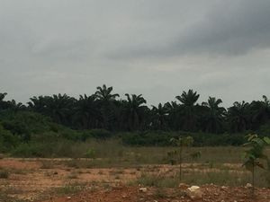 Johan Setia Zoning Industrial Land Agriculture land for Sale @RM4 ...