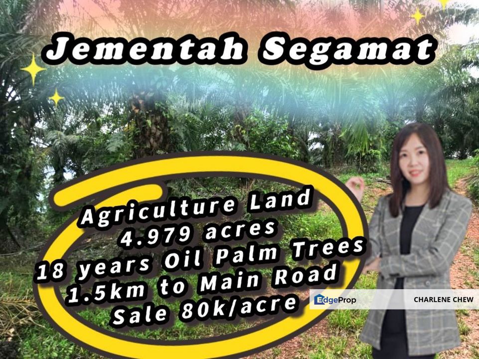 Jementah Segamat Jalan Muar Agriculture Land for Sale @RM398,000 By ...
