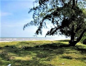 Sepang,Morib BeachFront Agricultural Freehold Land for Sale @RM1 ...