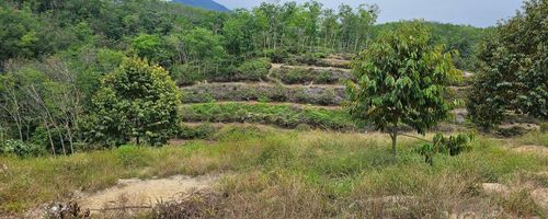 Kerling Selangor Agricultural Land For Sale for Sale @RM5,768,000 By ...