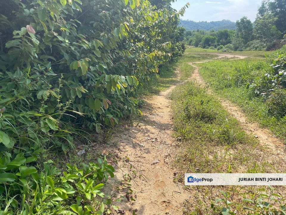 Melaka, Taboh Naning Land for SALE for Sale @RM599,000 By JURIAH BINTI ...