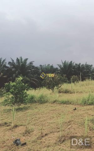 Machap Johor Kluang Durian Farm Agriculture Land Freehold With Trees ...