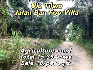 Ulu Tiram, Jalan Ban Foo Villa Agriculture Land for Sale @RM18 By WINNY ...