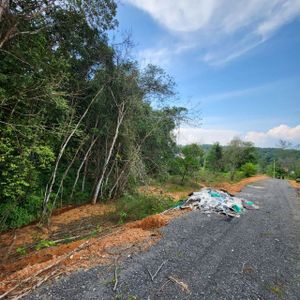 [FRONTING ROAD] Residential Potential Development Land Kampung Tengah ...