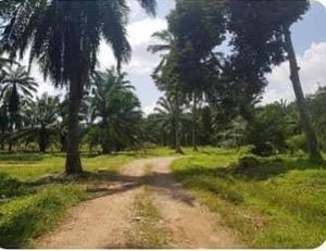 [FRONTING ROAD] Residential Potential Development Land Banting ...
