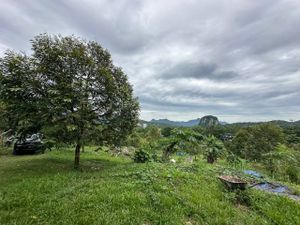 [NEXT TO KARAK TOLL PLAZA] Durian Orchard Bentong, Pahang For Sale for ...