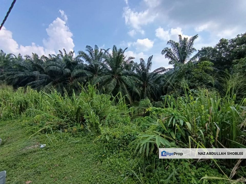 Taman Pagoh Jaya, Bungalow Land (FRONTING MAIN ROAD) For Sale for Sale ...