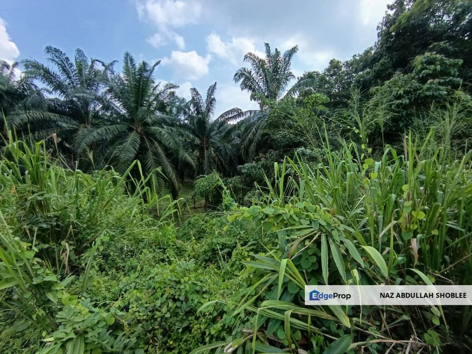 Taman Pagoh Jaya, Bungalow Land (FRONTING MAIN ROAD) For Sale for Sale ...