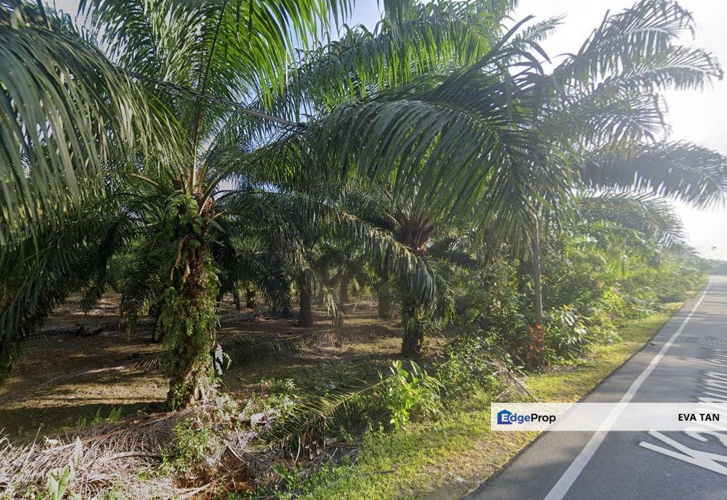 Pontian Ayer Baloi Agriculture Land for sale for Sale @RM3,987,000 By ...