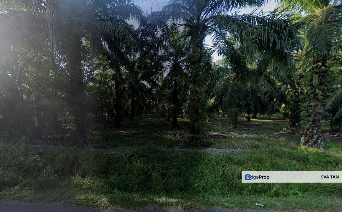 Pontian Ayer Baloi Agriculture Land for sale for Sale @RM3,987,000 By ...