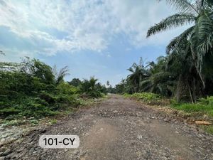 Value Buy Agriculture Land Batu 7, Kapar Klang for Sale @RM734,500 By ...