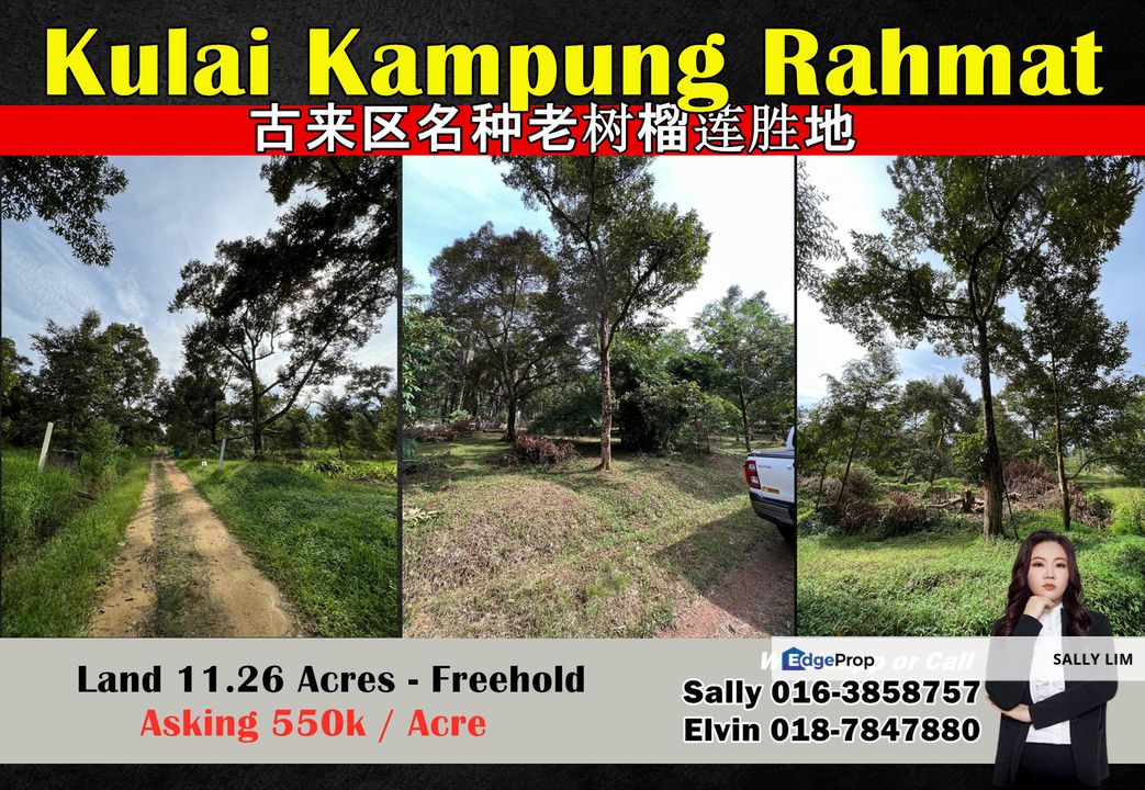 Kulai Kampung Rahmat Durian Farm, Species Durian Plantation / Freehold ...