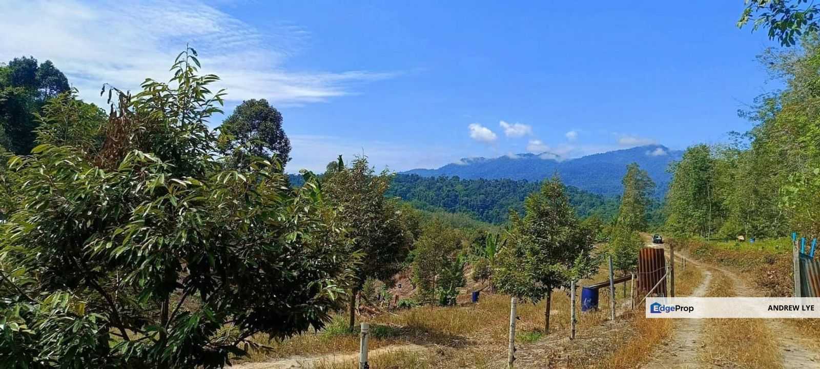 Lenggong Perak Durian Land For Sale for Sale @RM700,000 By ANDREW LYE ...