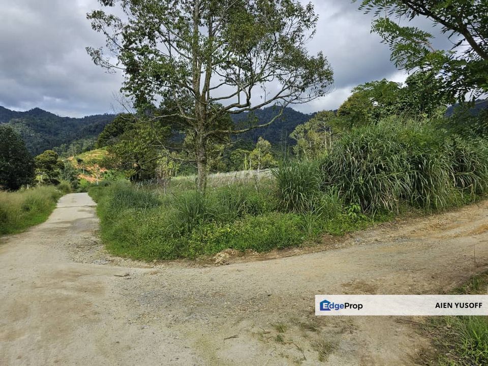 Tanah Landai Tanah Pertanian di Janda Baik near Kantan Cottage for Sale ...