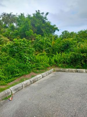 Tanah Lot Bangunan di Kawasan Industri Peramu near Drb Hicom for Sale ...