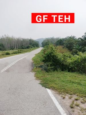 10.56 acres Agricultural Land Bukit Sapi | Lenggong | Perak 898K only ...