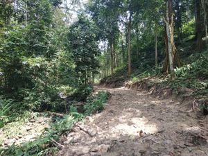 Tanah Kosong Kampung Palimbayan Bukit Lanjan Damansara Perdana for Sale ...