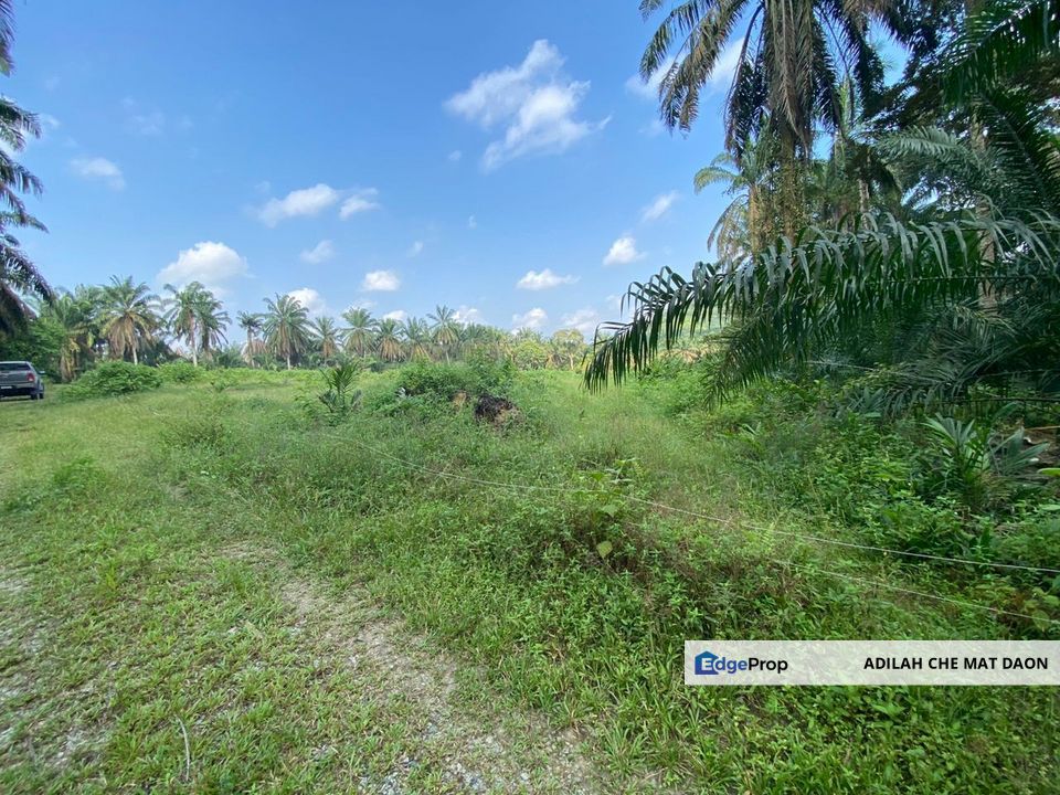 Tanah Kelapa Sawit untuk dijual di Bukit Batu Kulai Batu 37, Ayer Hitam ...