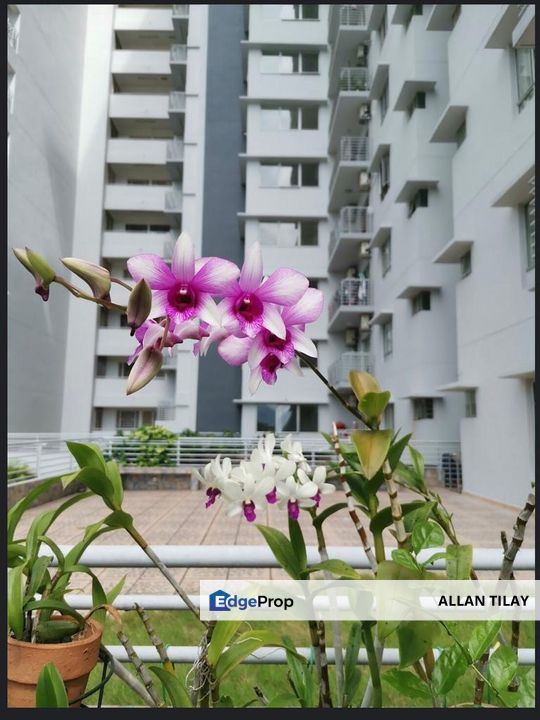 Butterworth Sea View Tower @ Harbour Place for Sale @RM385,000 By ALLAN ...