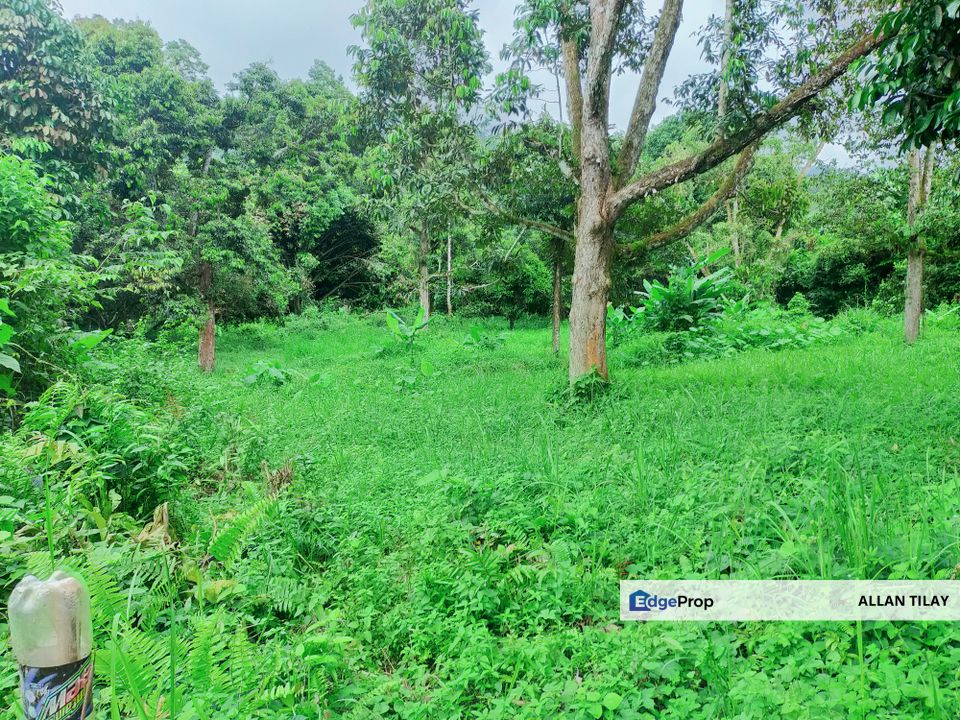 Kuala Dipang Sahom Valley Dusun Land for Sale @RM387,390 By ALLAN TILAY ...