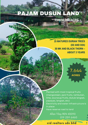 Pajam Orchard Land for Sale @RM4,968,600 By ALLAN TILAY | EdgeProp.my