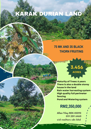 Karak Durian Land for Sale @RM2,350,000 By ALLAN TILAY | EdgeProp.my