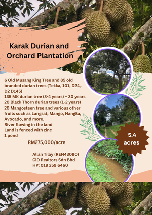 Karak Durian Plantation for Sale @RM1,485,000 By ALLAN TILAY | EdgeProp.my