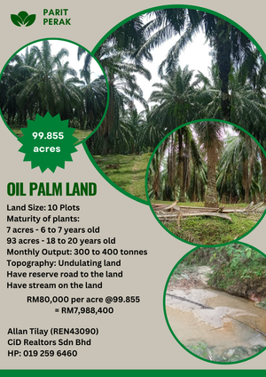 Belanja Parit Perak Oil Palm Plantation for Sale @RM7,988,400 By ALLAN ...