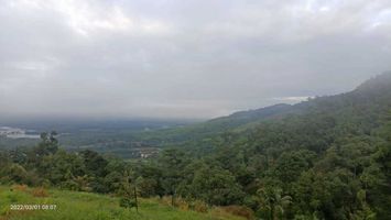 60 Acre Durian Plantation Hill Tapah Temoh Perak for Sale @RM13,200,000 ...