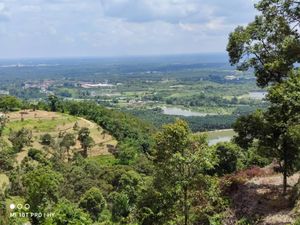 Perak Temoh 61 Acre Durian Land Tapah For Sale for Sale @RM16,800,000 ...