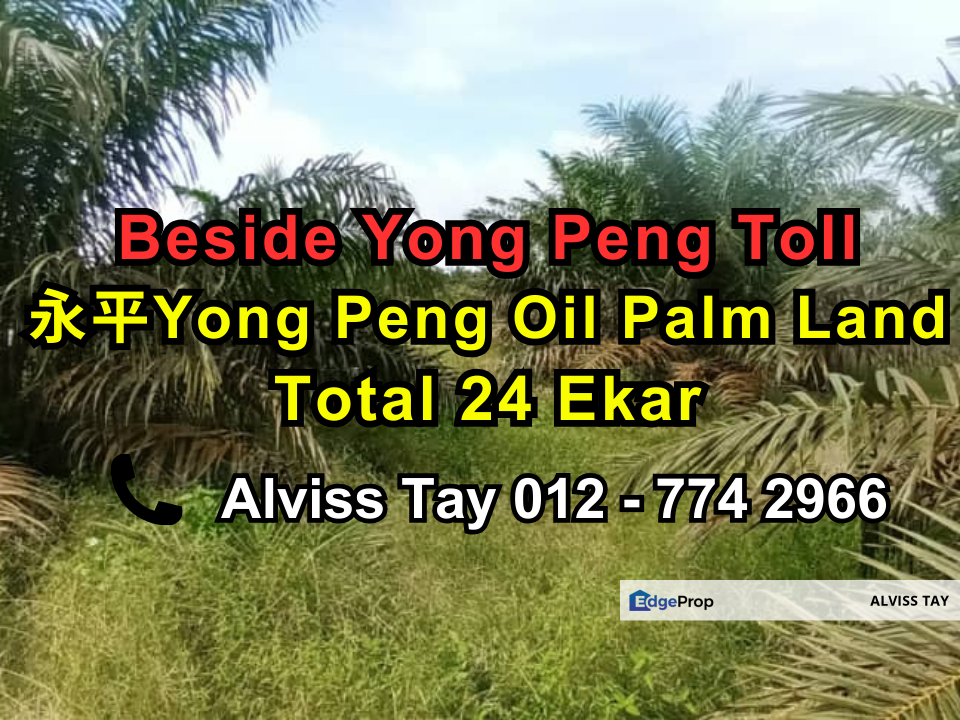 Yong Peng Oil Palm Land for Sale Call for price By ALVISS TAY | EdgeProp.my