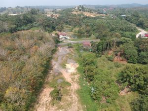 Banting Palm Oil Land For Sale for Sale @RM825,000 By EDDY LUM ...