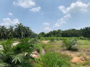 Klang Johan Setia Land for Sale @RM1,090,000 By NICK YEAP | EdgeProp.my