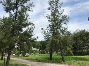 Flat Bungalow lot in College Heights Pajam for Sale @RM234,765 By ...