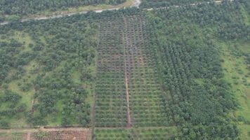 Meru Land for Sale for Sale @RM18,295,200 By EDMOND HO | EdgeProp.my