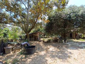 Beruas Durian Agriculture Land For Sales for Sale @RM1,128,750 By STONE ...