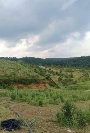 Machap Johor Agriculture Land for Sale @RM1,500,000 By JANICE YONG ...
