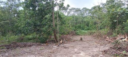 Pajam Land for Sale for Sale @RM1,100,000 By KEVIN CHONG | EdgeProp.my