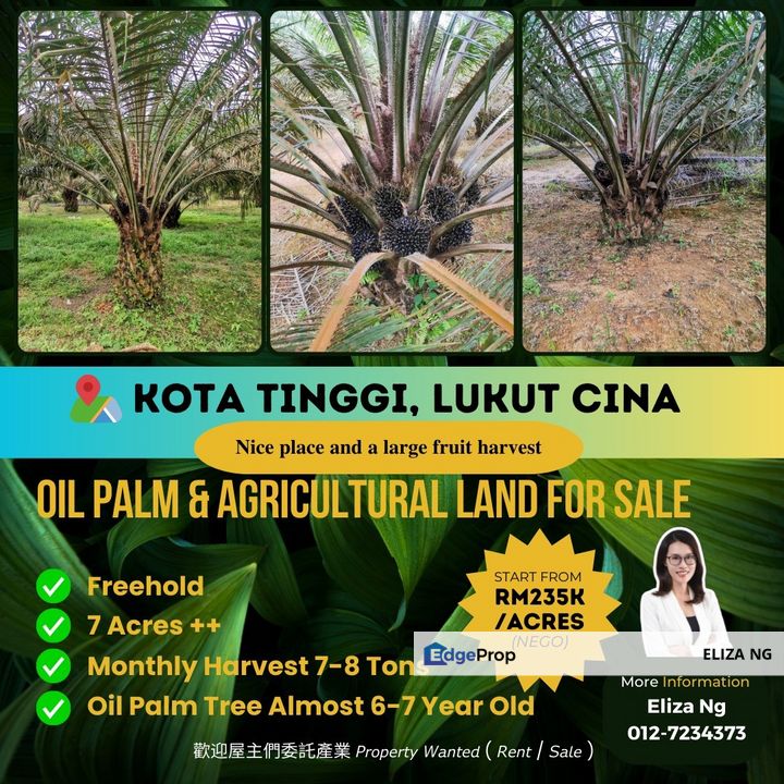 Kota Tinggi Lukut Cina 7 acres oil palm plantation agricultural land ...