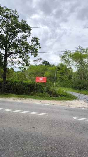 Sedenak for Sale @RM204,906,240 By TERENCE TAN | EdgeProp.my