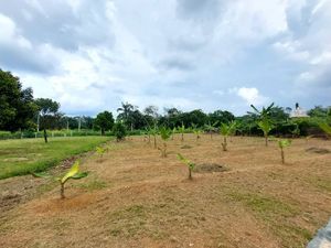 Freehold Non Bumi Agriculture Land Bestari Jaya for Sale @RM690,000 By ...