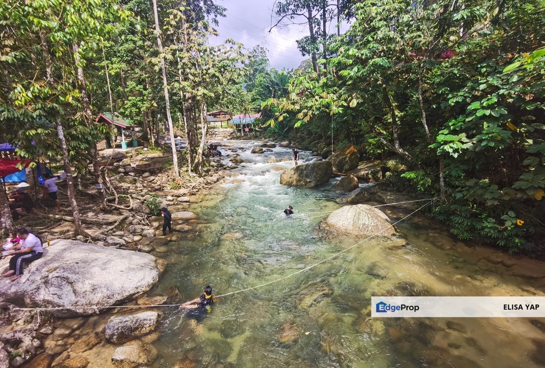 13 acres Land Plantation with stream water suitable for Resort/Chalet ...