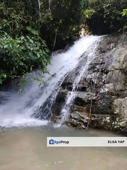 Cheroh Raub Pahang 3.7 acres Rubber Estate Land Back with River Near to ...