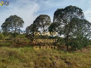 Simpang Pertang for Sale @RM13,400,000 By CK CHANG | EdgeProp.my